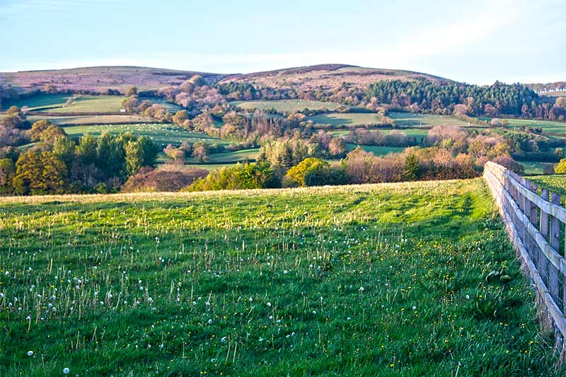 Quantock Hills AONB | Natureflip