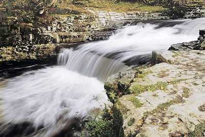 High Force (on River Tees) | Natureflip
