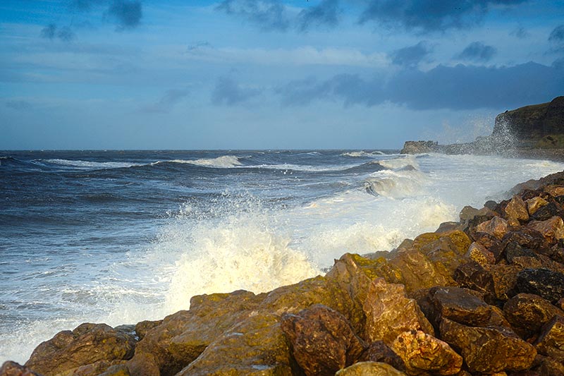 Solway Coast AONB | Natureflip