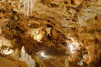 Bears' Cave | Natureflip