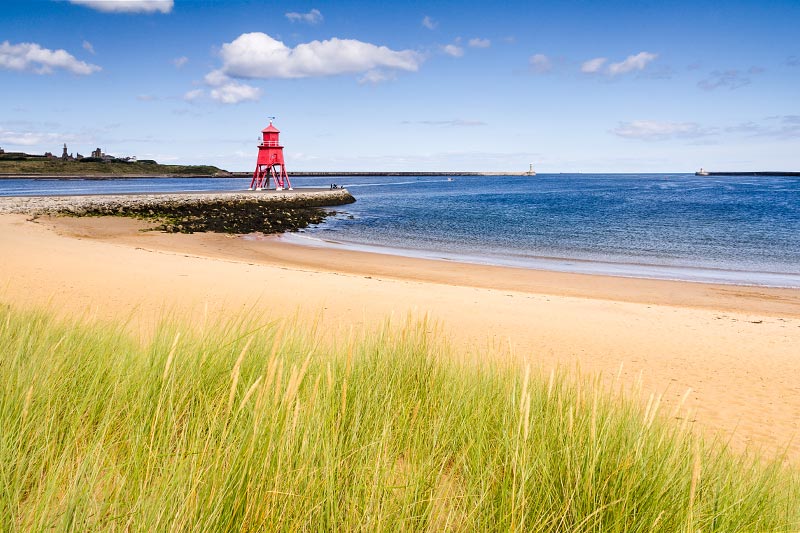 South Shields Beach | Natureflip