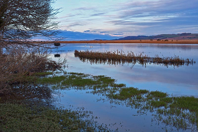 River Tay National Scenic Area | Natureflip