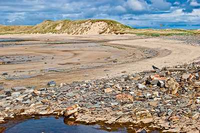 Thurso Bay Beach | Natureflip