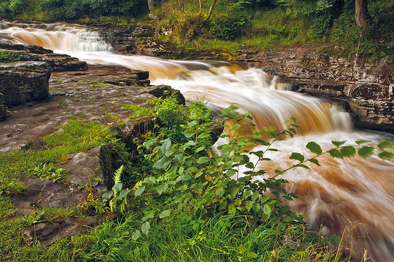 Stainforth Force | Natureflip