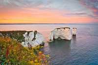 Old Harry Rocks | Natureflip
