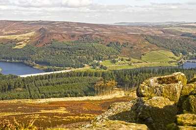 Derwent Reservoir (Derbyshire) | Natureflip