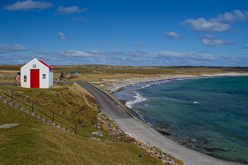 Newark Bay | Natureflip