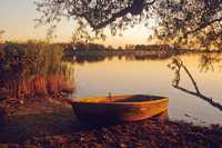 Filby Broad | Natureflip