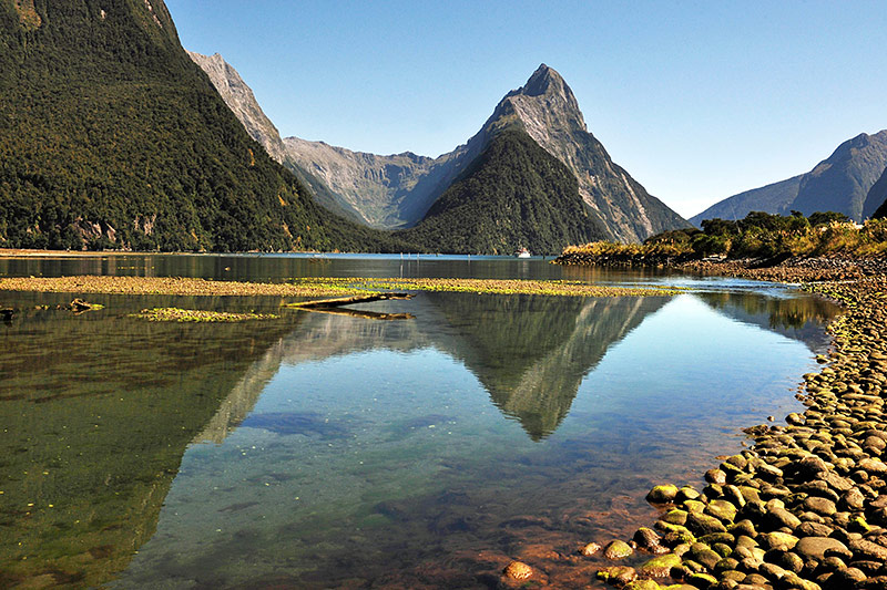 Fiordland National Park | Natureflip
