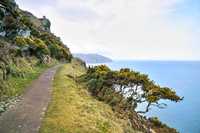 Exmoor National Park | Natureflip