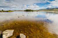 Insh Island | Natureflip