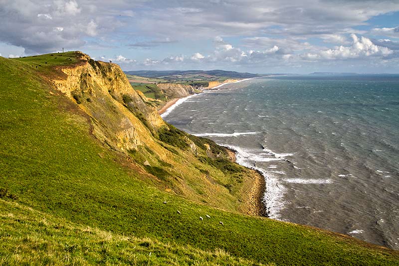Axmouth to Lyme Regis Undercliffs Nature Reserve | Natureflip