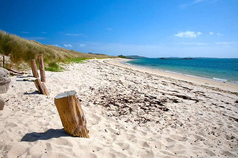Isles of Scilly - Bryher | Natureflip