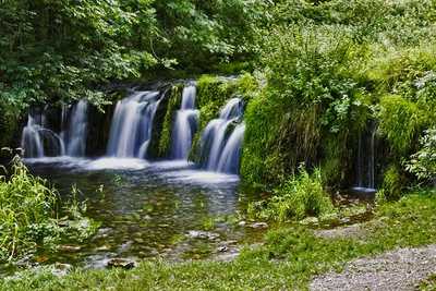 Lathkill Dale | Natureflip