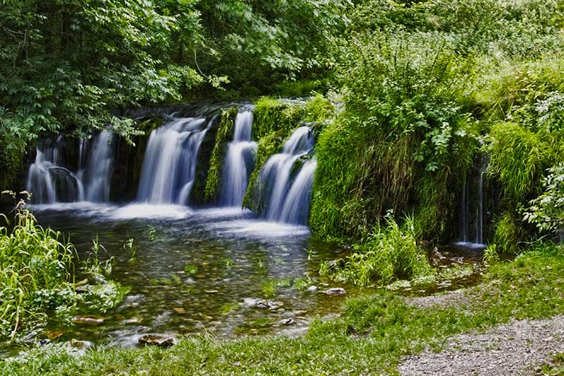 Lathkill Dale | Natureflip