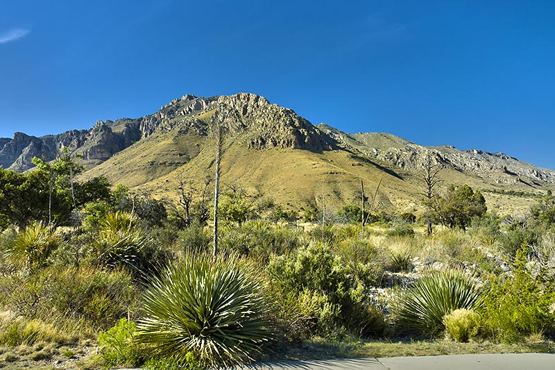 Guadalupe Mountains National Park | Natureflip