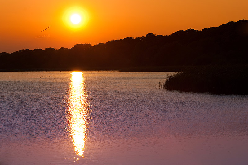 Aqualate Mere | Natureflip