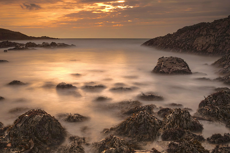 Llanfaelog - Porth Nobla Beach | Natureflip