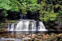 Yorkshire Dales National Park | Natureflip