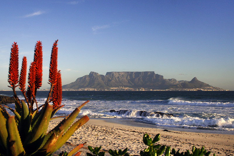 Table Mountain | Natureflip
