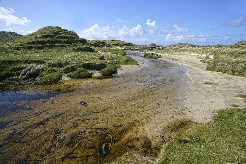Coll Beach | Natureflip