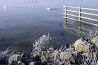 Grafham Water | Natureflip