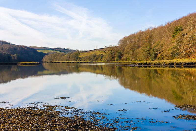 Tamar Valley AONB | Natureflip