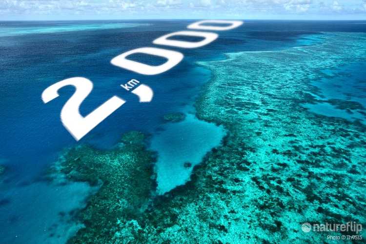 The 2,000 km Barrier Reef | Natureflip