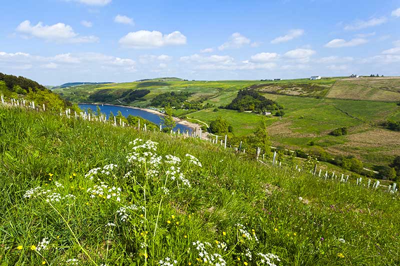 Scammonden Reservoir | Natureflip