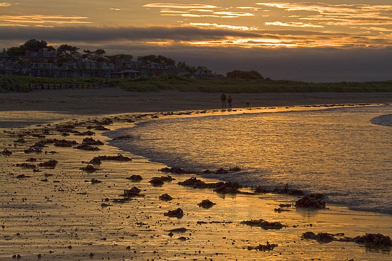North Berwick West Beach | Natureflip