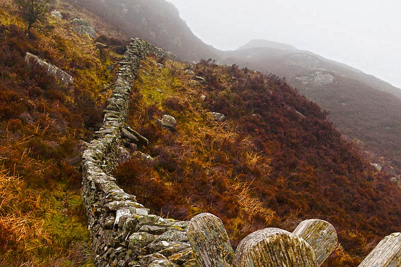 Rhinog Fawr | Natureflip