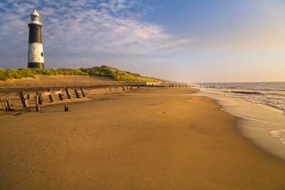 Spurn Nature Reserve | Natureflip