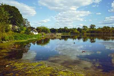 Loch Duddingston | Natureflip