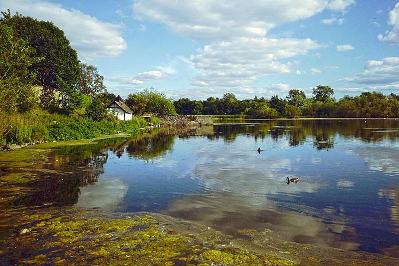 Loch Duddingston | Natureflip