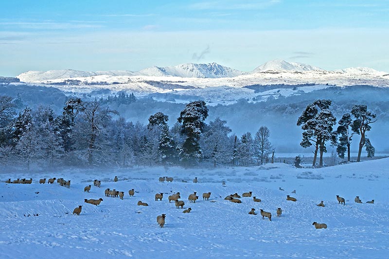 Rusland Moss Nature Reserve | Natureflip