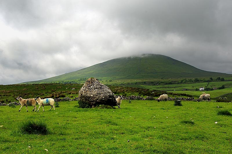 Simon Fell | Natureflip