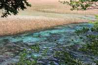 Five Flower Lake | Natureflip