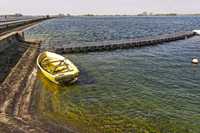 Farmoor Reservoir | Natureflip