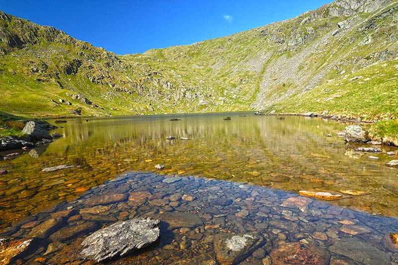 Small Water | Natureflip