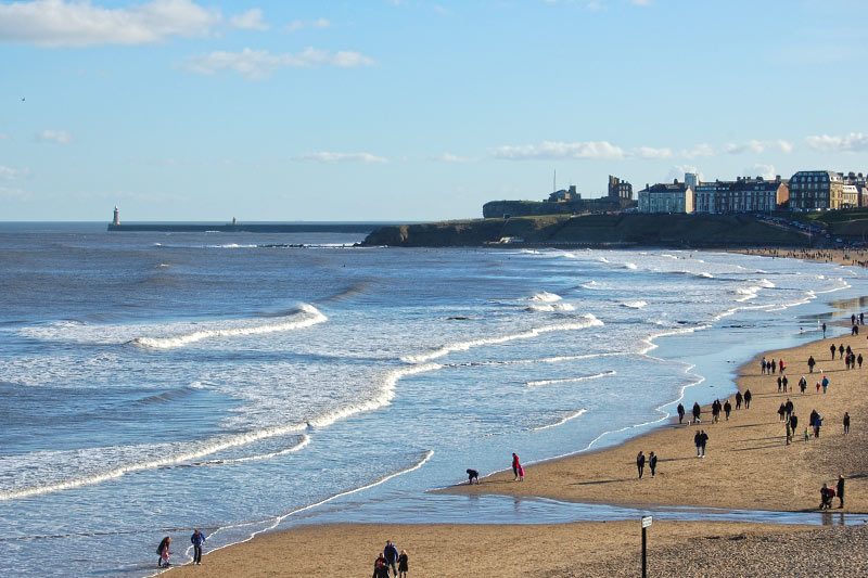 Tynemouth Cullercoats Beach | Natureflip