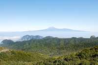 Garajonay National Park | Natureflip