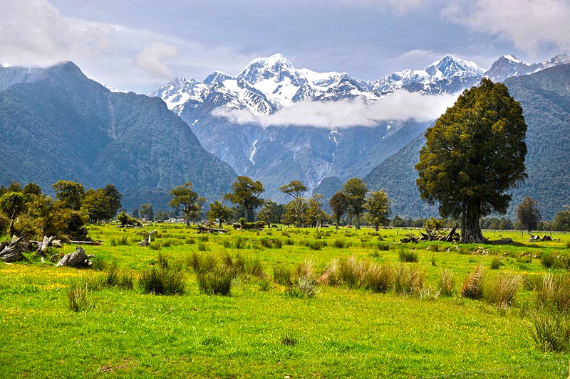 Mount Cook | Natureflip