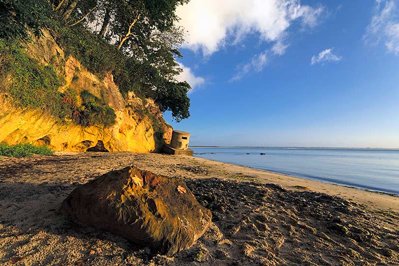 Studland Beach | Natureflip
