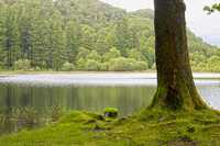 Coniston Water | Natureflip