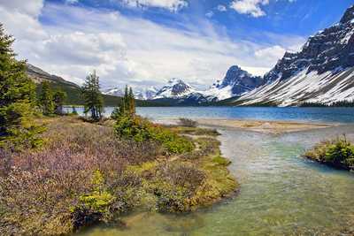 Bow Lake | Natureflip