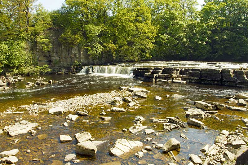 Richmond Falls | Natureflip