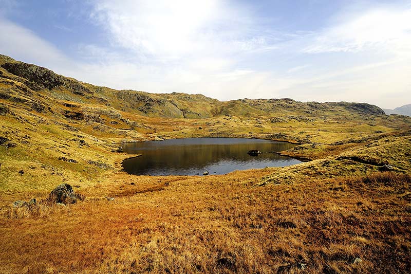 Codale Tarn | Natureflip