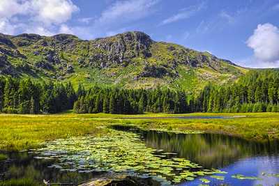 Harrop Tarn | Natureflip