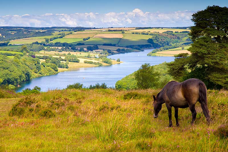 Wimbleball Lake | Natureflip