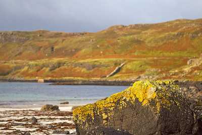 Calgary Bay Beach | Natureflip